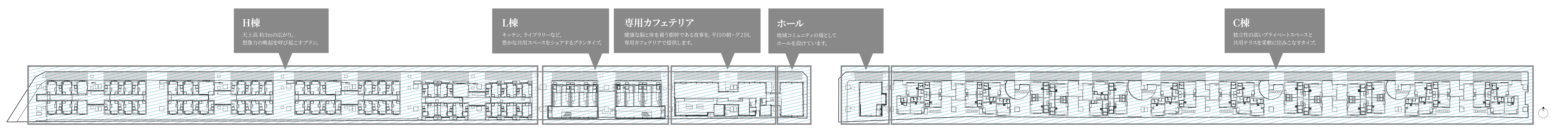 plan | Chuo Line House KOGANEI 中央ラインハウス小金井 | C・L・H